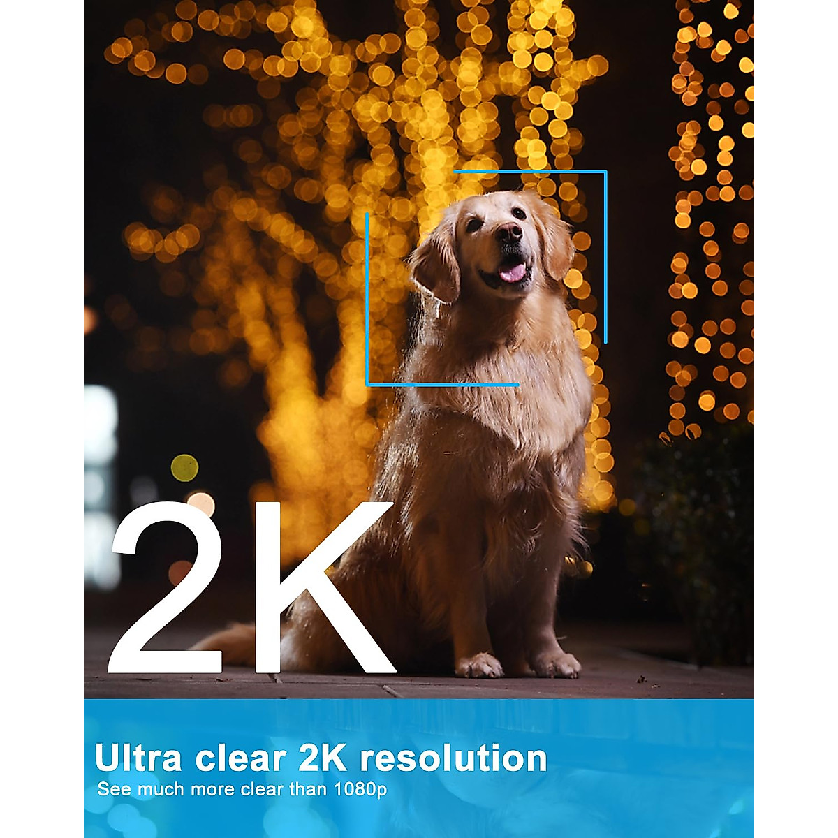 OFYOO 2K Light Bulb Security Camera with Night Vision, Motion Detection, 360° Remote Viewing, and Real-Time Alerts for Home Safety, Waterproof, Indoor and Outdoor Cam, 2 Packs