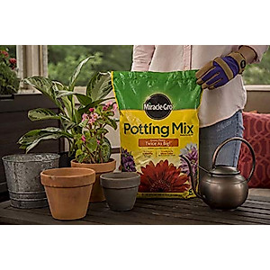 Miracle-Gro Potting Mix, 8 qt. (2 Pack)