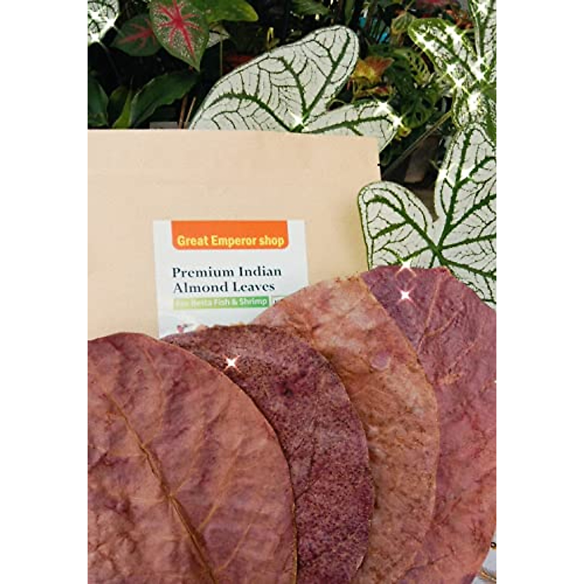 Pufa Great Emperor shop Premium Indian Almond Leaves Medium Catappa for Betta Fish & Shrimps|Best / Shrimp |Indian Almonds Naturally sourced Help Boost immunity 65g.