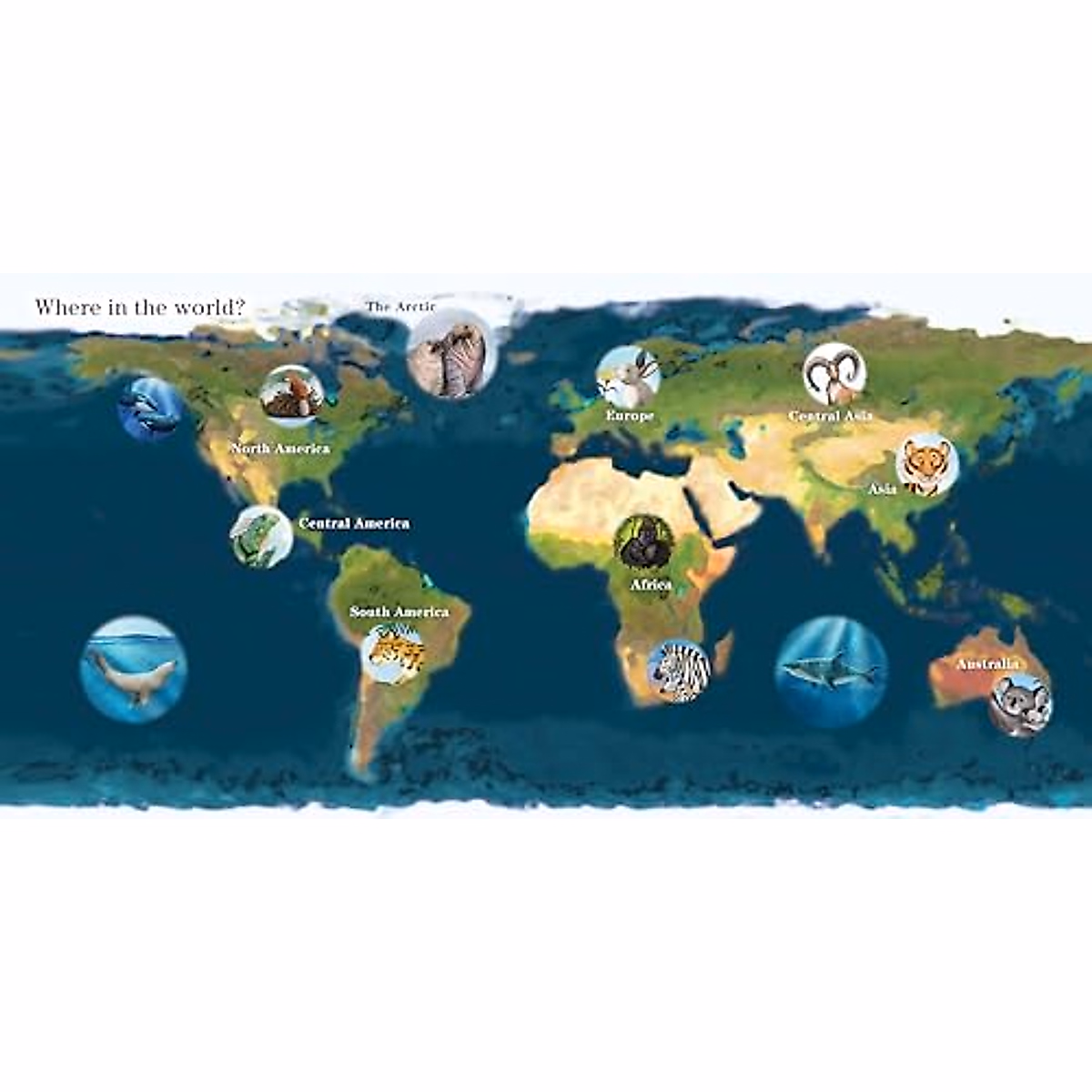 T Is for Tiger: A Toddler's First Book of Animals