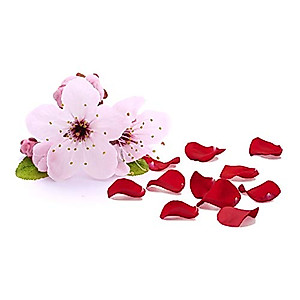 GIOVANNI 2chic Ultra-Luxurious Leave-In Conditioning & Styling Elixir - Smoothing Hair Cream for Curly & Wavy Hair, Enriched with Aloe Vera, Paraben Free, Color Safe - Cherry Blossom & Rose Petal, 4oz