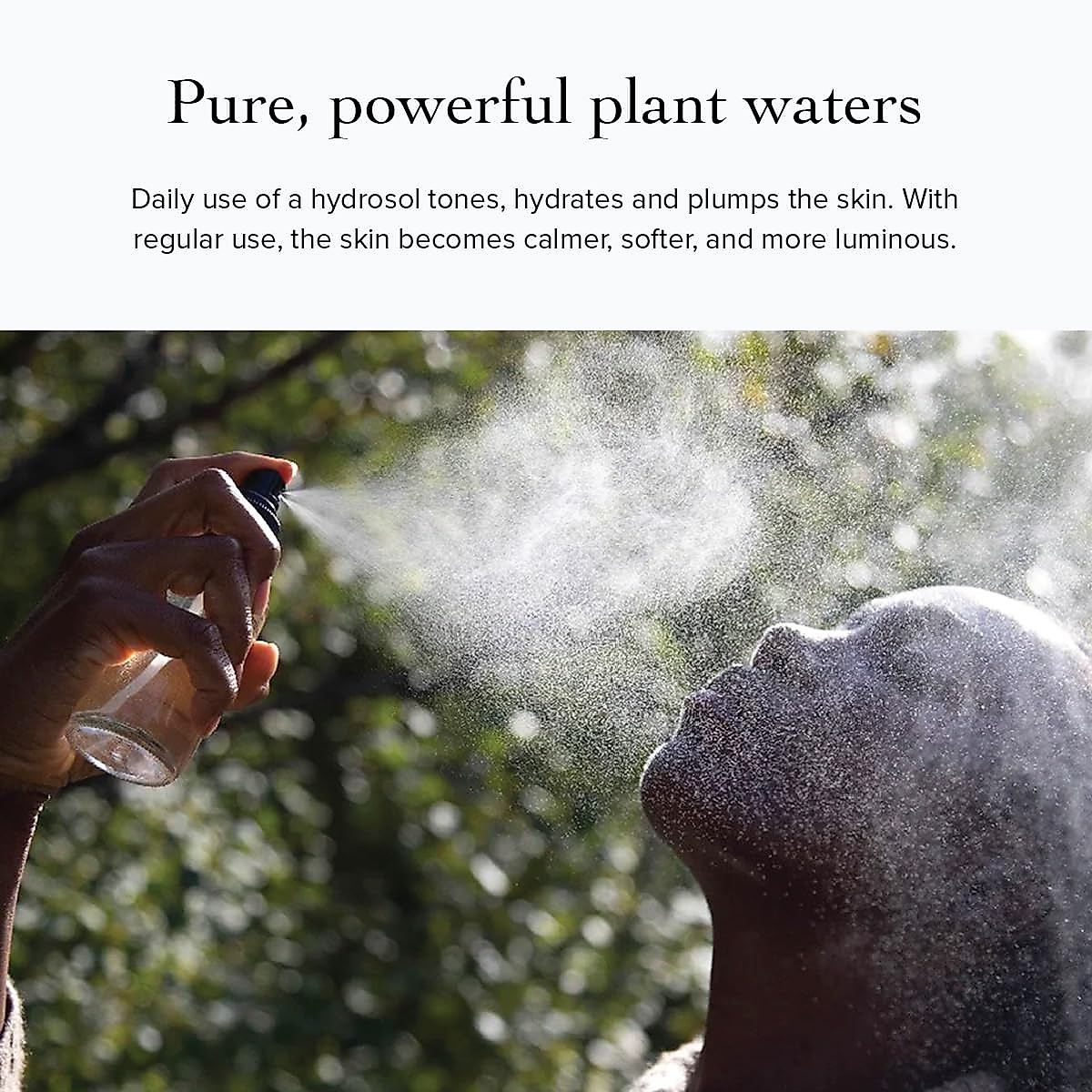 evanhealy Lemon Thyme HydroSoul | Copper Distilled Hydrosol | Purifying Facial Tonic | Organic Plant Face Toner | Purify & Decongest Blemished, Congested, Teen Skin