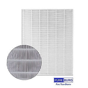 PUREBURG C545 Replacement True HEPA Filter Set Compatible with WINIX PlasmaWave P150 and B151, C545 Air Purifiers, Part Number Filter C / 113050, Filter S / 1712-0096-00,H13 Activated carbon