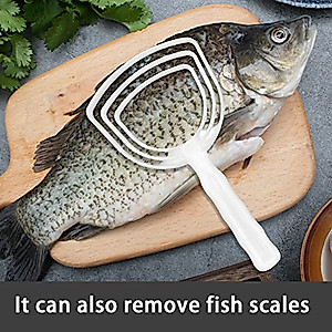 Wreero Bone Dust Scraper Meat Scraper Bone Dust Bone Scraper Professional Bone Dust Scraper Meat Scraper (2 Pieces) Square