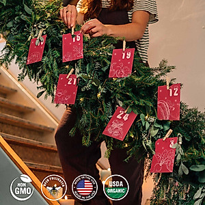 Seeds Christmas Advent Calendar 2024 for Women Adult, Hanging Decor Xmas Countdown Calendar for Garden Alike,Unique Christmas Countdown for Dad Mom Kids Family