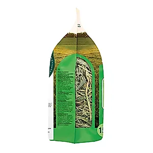 Oxbow Animal Health Oat Hay - All Natural Hay for Rabbits, Guinea Pigs, Chinchillas, Hamsters & Gerbils - 15 oz.