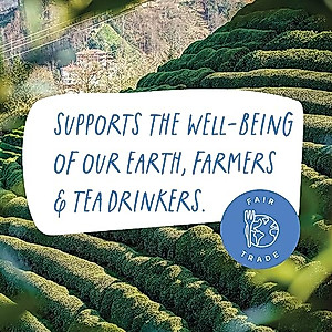 Kubo Tea, Earl Grey Black Tea, Organic High Caffeine Blend, 20 Servings (155mg Caffeine each), Pyramid Tea Bags, Compostable & Biodegradable Packaging, Healthy Coffee Substitute