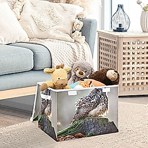 Kigai Storage Basket Cute Owl Storage Boxes with Lids and Handle, Large Storage Cube Bin Collapsible for Shelves Closet Bedroom Living Room, 16.5x12.6x11.8 In