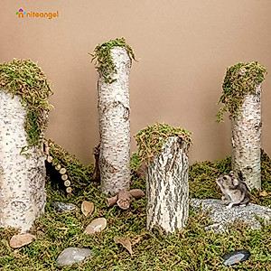 Niteangel 5L Forest Moss Soft Natural Moss Bedding Nesting for Dwarf Syrian Hamsters, Gerbils, mices, Degus or Other Small Animal