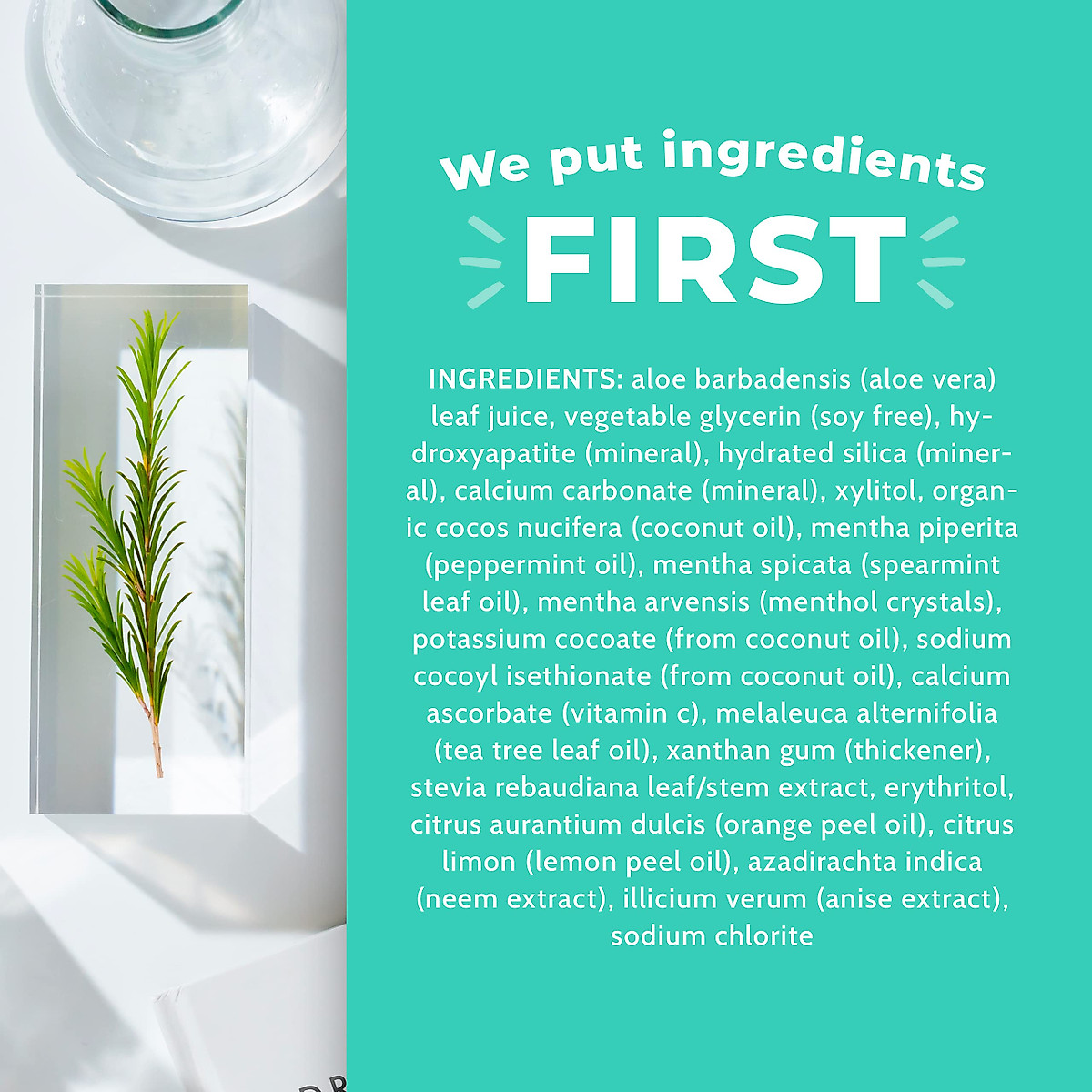 Dr. Brite Mint Natural Whitening Toothpaste with Activated Coconut Charcoal and VIT C, Mint, 5 Ounce (TRTAZ11A)