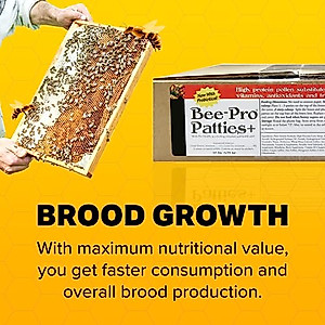 Mann Lake Bee-Pro Patties with Pro Health, Ready-to-Feed High Protein Pollen Substitute, Beekeeping Supplies, 10 lb