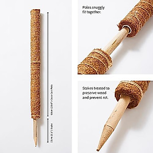 Moss Pole Monstera Plant Support - Train Indoor Climbing Plants to Grow Upwards - 2 Coco Coir Totem Stakes