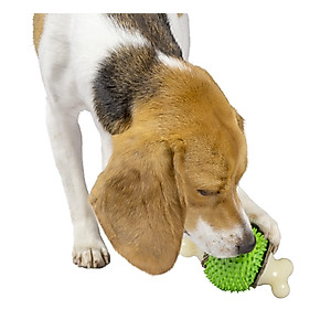 MUHU Premier Pet Ring Holding Dog Toy for Medium Dogs - Ball with Refillable, Rawhide Chew Rings - Durable Treat and Toy Combo for Long-Lasting Play (m)