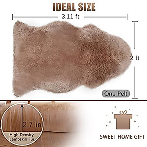 OKAYDA Genuine New Zealand Sheepskin Area Rug Soft Lambskin Decorative Rug for Bedroom Sofa Floor One Pelt