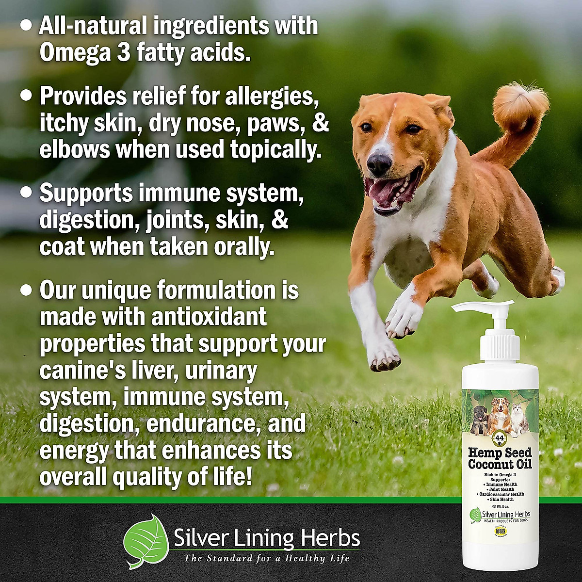 Silver Lining Herbs Coconut Oil for Dogs with Hemp Seed Oil | 8oz Bottle | Anti Itch & Hot Spot Treatment For Dogs Skin & Coat | Allergy Aid | Supports Immune System, Joints, & Digestion | Made in USA