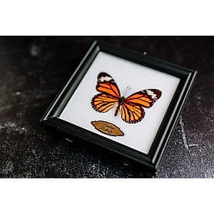 Custom Engraved Flexibrass Plate, Name Plaque, Art Tags, Trophy Label, Personalized Awards Tags, Gold, Silver Brass, Adhesive Backing