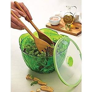 Plastic Snips Saver Salad Keeper 4 Liters, Green, One Size