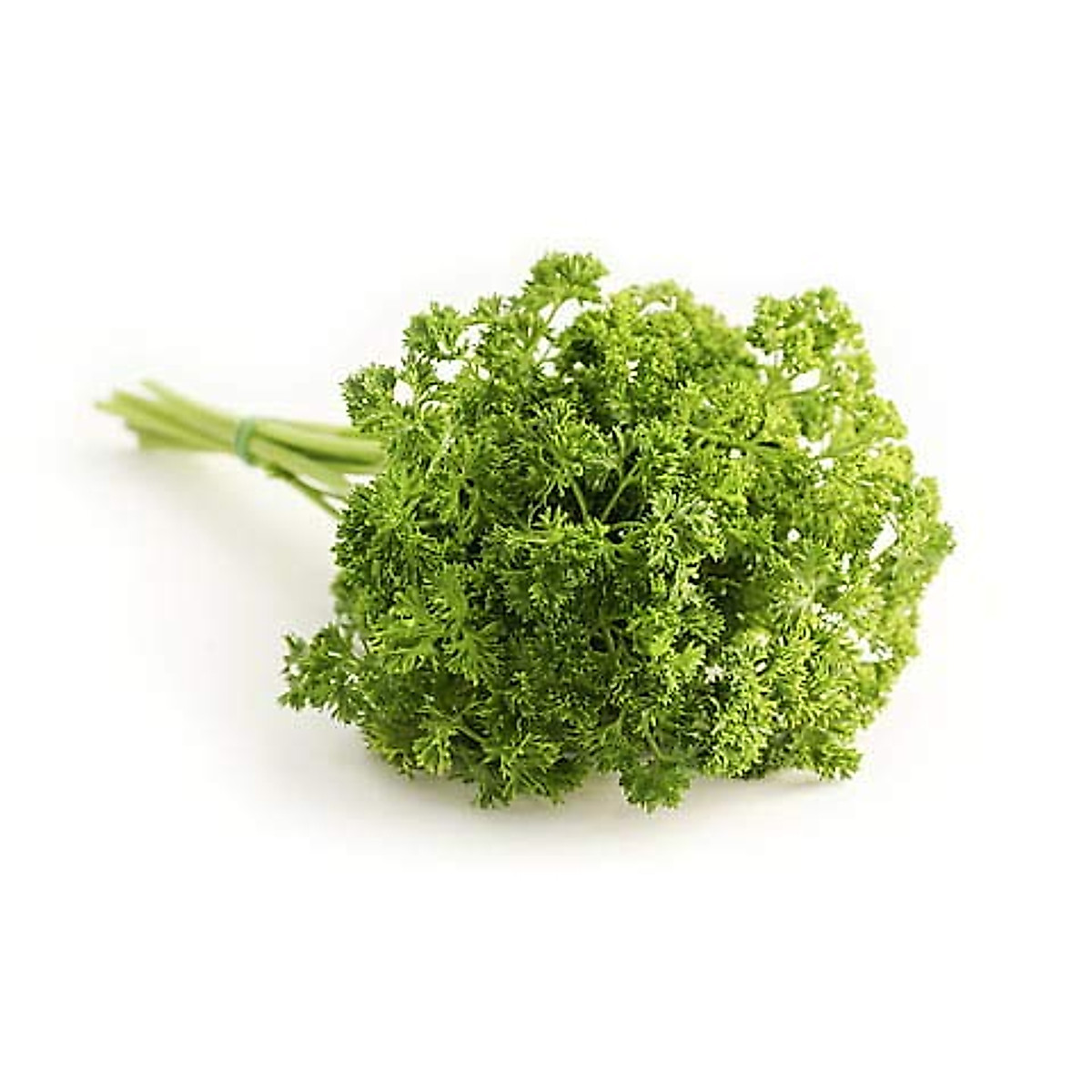 Triple Curled Parsley Seeds for Planting, 300+ Seeds Per Packet, (Isla's Garden Seeds), Non GMO & Heirloom Seeds, Botanical Name: Petroselinum crispum, Great Herb Garden Gift