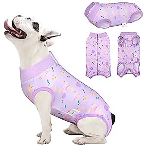 ASENKU Easter's Day Dog Onesie Pet Pajamas, Dogs Recovery Suit for Dogs Cats After Surgery, Dog Pajamas Outfit Bodysuit for Small Medium Large Dog Cat Costume (Easter's Day, XL)