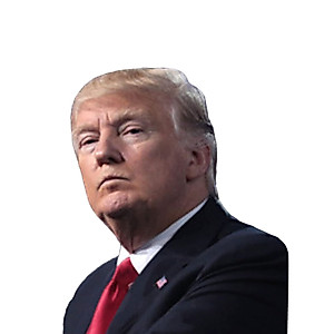 Trump Car Window Stickers,Car Window Sticker Waterproof Trump Bumper Sticker Waterproof PVC Auto Window Decal Cling No Residue Left and Right Waterproof Reflective Funny Stickers for Vehicles