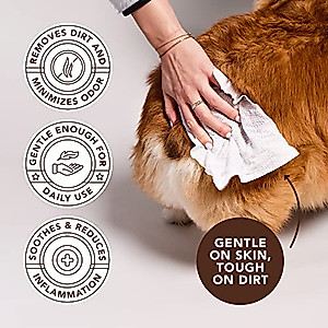 Natural Dog Company Grooming Wipes with Aloe Vera, Cleanses, Soothes, & Deodorizes, Fragrance Free, Hypoallergenic, Biodegradable Wipes (50 Wipes) Aqua