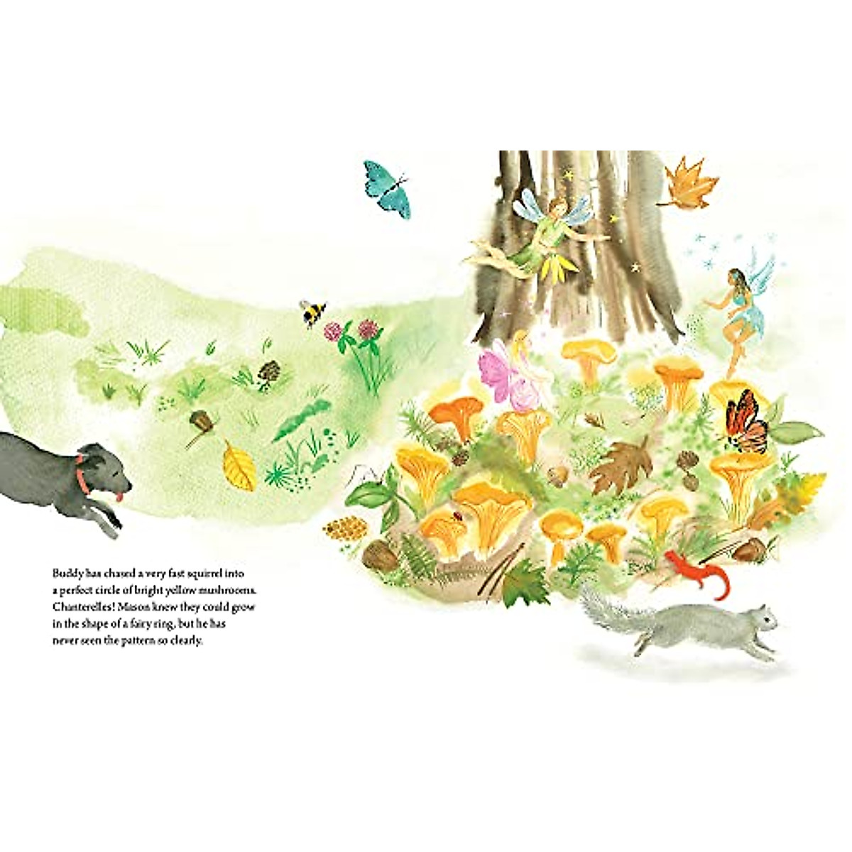 Mason Goes Mushrooming