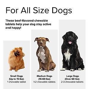 Terry Naturally Animal Health Active Mobility - 60 Beef-Flavored Chewable Tablets - Supports Joint Health with Glucosamine, Chondroitin & Collagen - Canine Only - 60 Servings