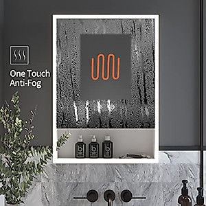 LALAHOO Bathroom Medicine Cabinet with Mirror,20" x 28" Lighted Medicine Cabinet with Large Storage,LED Medicine Cabinets for Bathroom with Shelves,Dimmer and Anti-Fog