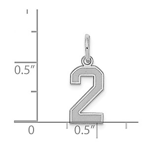 Solid 925 Sterling Silver Small Number 2 Charm Brushed Matte Finish Pendant - 19mm x 7mm