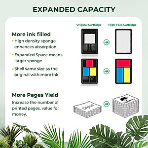 COLORETTO Remanufactured Printer Ink Cartridge Replacement for Canon Pg-245Xl Cl-246Xl PG-243 CL-244 to use with Canon PIXMA MX492 MX490 IP2820 MG2420 mg2522 TS3122 (1 Black+1 Color) Combo Pack