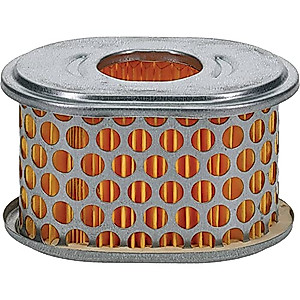 Kohler 055-919 Air Filter, Multi