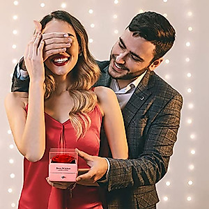 Preserved Red Real Rose with I Love You Necklace in 100 Languages, Eternal Enchanted Rose Flower Gifts for Women Mom Wife Girlfriend Valentines Day Anniversary Mothers Day Birthday Gifts for Her