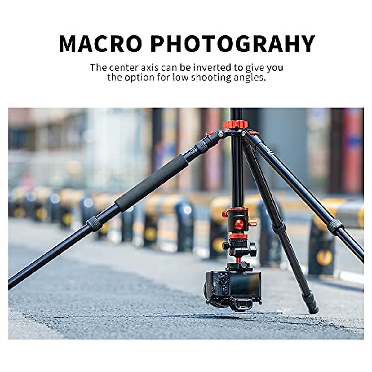 K&F Concept 74 inch Camera Tripod,Professional Center Axis Horizontal Tripods with Detachable Monopod,360 Degree Ball Head,Quick Release Plate Compatible with DSLR Cameras T254A4+BH-28L(SA254T3)