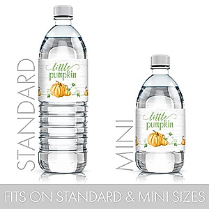 Orange Little Pumpkin Baby Shower Water Bottle Labels - Autumn Waterproof Bottle Wrappers - 24 Count - Fall Unisex Pumpkin Patch Theme