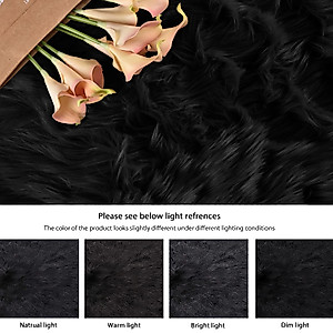 ORINOVA Black Faux Sheepskin Washable Fluffy Fur Area Rugs for Bedroom Small Fuzzy Carpet for Living Room 2x3 Boho Nursery Rug