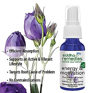 Siddha Remedies Energy & Motivation Spray | 100% Natural Homeopathic Remedy with Traditional Homeopathic Ingredients, Cell Salts and Flower Essences | No Alcohol No Sugar