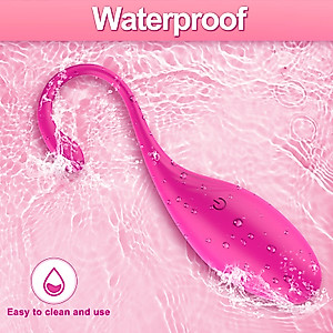 Adult Sex Toys for Women Couples - App Control Wearable Panty Vibrator with 9 Vibrations, G spot Clitoral Stimulator Couple Vibrators, Rose Sex Stimulator for Women Pleasure, Adult Sex Toys