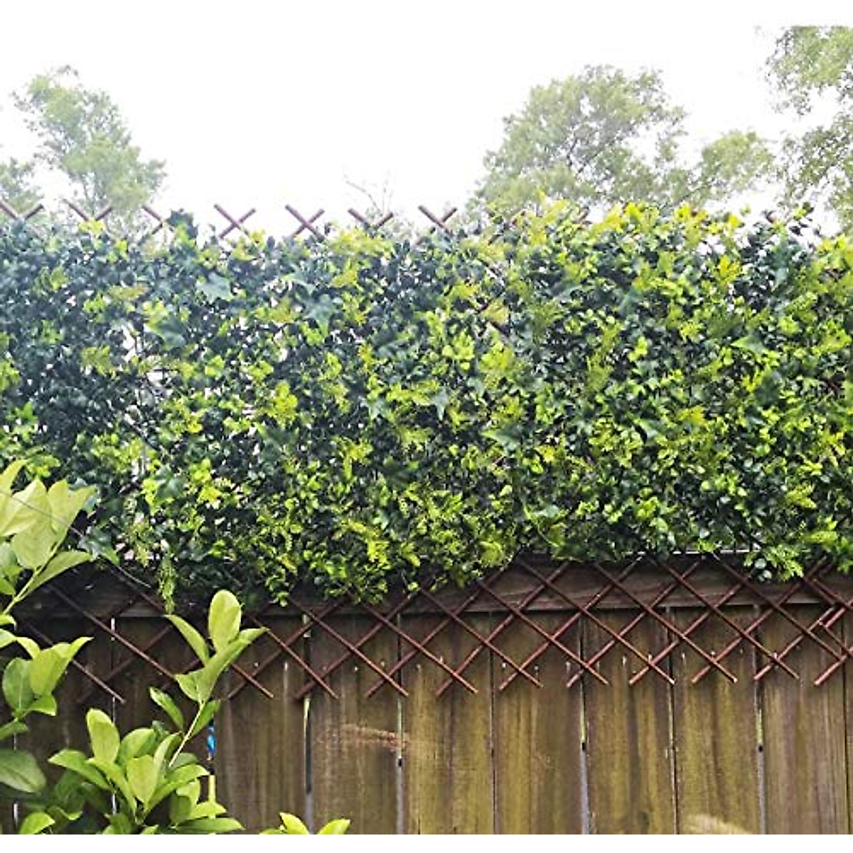 Helprise Expandable Willow Lattice Fence Panel Plant Support Garden Trellis Willow Trellis Fence for Climbing Plants Vine Ivy Rose Cucumbers Clematis Outdoors Garden Yard ,36X92 Inch(2PC)