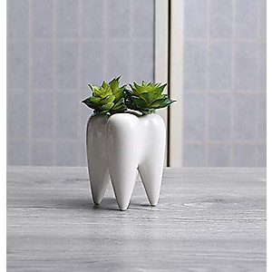 3.93 Inches Tall Tooth Shaped Ceramic Succulent Cactus Vase Flower Pot (Plants Not Included)