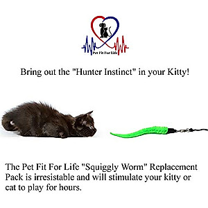 Pet Fit For Life 5 Piece Replacement Pack of Worms for Interactive Cat and Kitten Toy Wands
