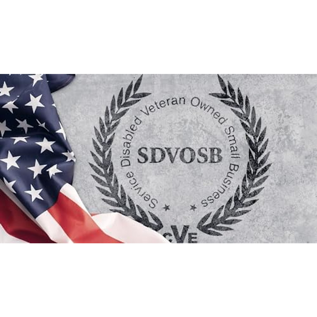 SOUTH SHORE RETAIL, LLC Assorted Community Fish Pack - Mystery Fish - Selected By Our Experts! - Live Fish (10 Pack)