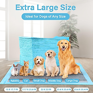 FluffyDream Super Absorbent Waterproof Dog and Puppy Pet Training Pad, Housebreaking Pet Pad, Small-Size, Blue, 23.6" x 35.4"(20 PCS), Odor Control