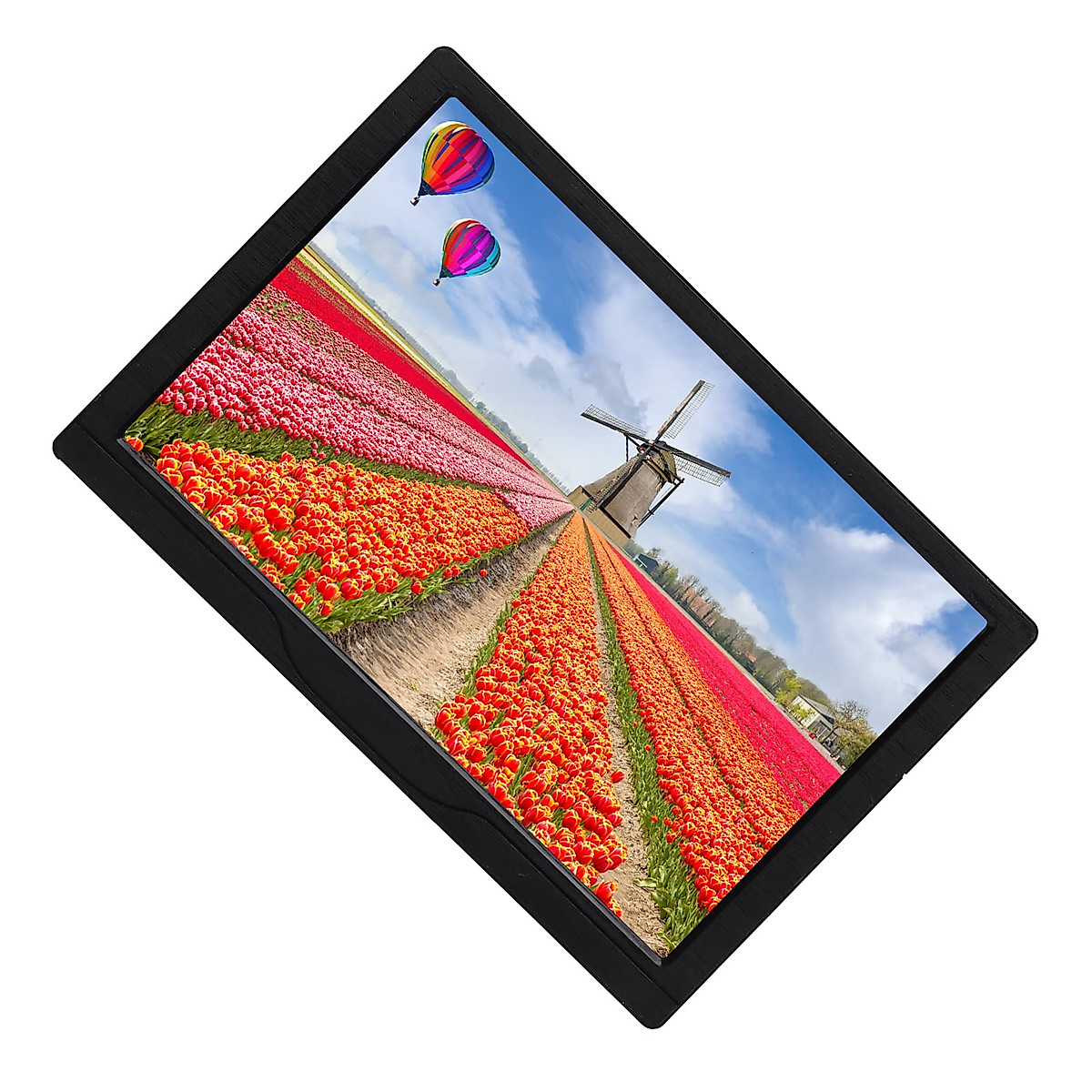 AMONIDA 10.1 Inch Monitor Adjustable Stand MultiInterface HD Display Dual Speakers for Office (US Plug)