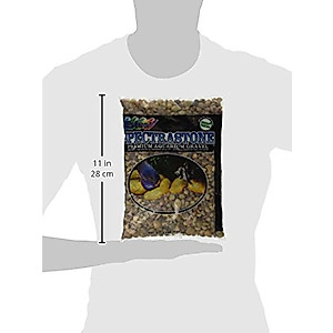 Spectrastone Shallow Creek Pebble for Freshwater Aquariums, 5-Pound Bag