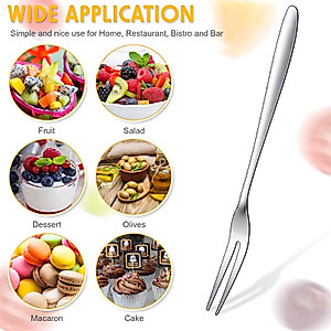 Appetizer Forks Cocktail Forks 2 Prong Mini Forks for Appetizers 5.1 Inches Stainless Steel Forks Set Dessert Salad Fruit Cake Tasting Forks Bulk for Birthday home Party Wedding Restaurant(48 Pcs)