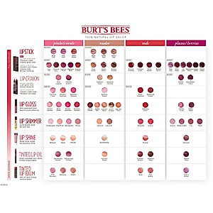 Burt's Bees 100 % Natural Moisturizing Tinted Lip Oil, Misted Plum, 1 Pen