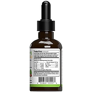 Pet Wellbeing Kidney Support Gold for Dogs - Vet-Formulated - Supports Healthy Kidney Function in Dogs - Natural Herbal Supplement 2 oz (59 ml)