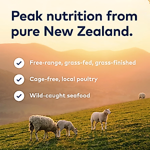 Ziwi Peak, Canned Wet Cat Food All Natural High Protein, Grain Free, Limited Ingredient, with Superfoods, 6.5 Ounce (Pack of 12)