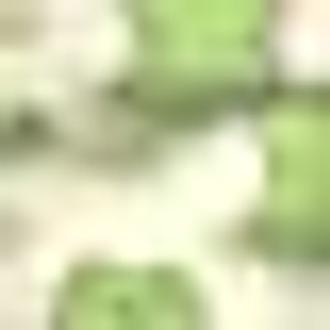 Qwalnely Frog Backpack for School, Durable Waterproof Backpacks Laptop for Teens Adult Women Girl, Men Boy Cute Frog Stuff