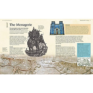 Biology: An Illustrated History of Life Science (100 Ponderables)